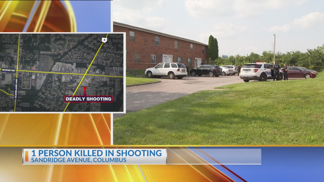 Man found shot dead at Sandridge Apartment complex – NBC4 WCMH-TV