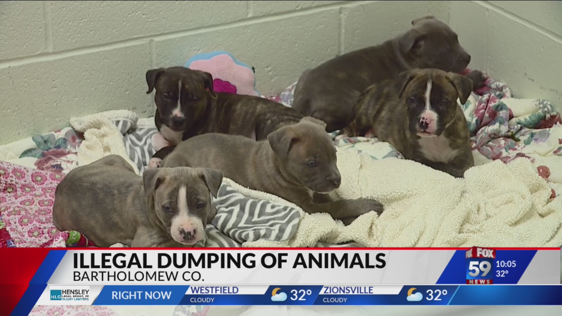 Bartholomew County Humane Society and law enforcement investigating ...