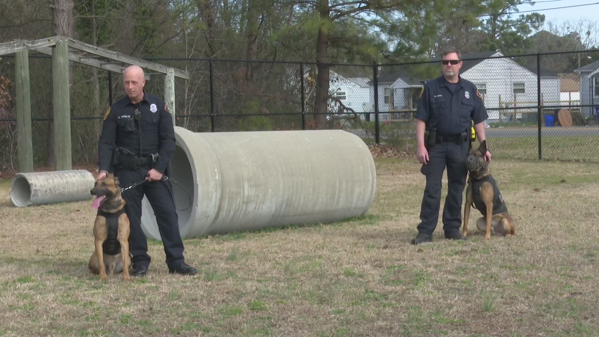 Portsmouth Police K9s get ballistic vests – WAVY.com