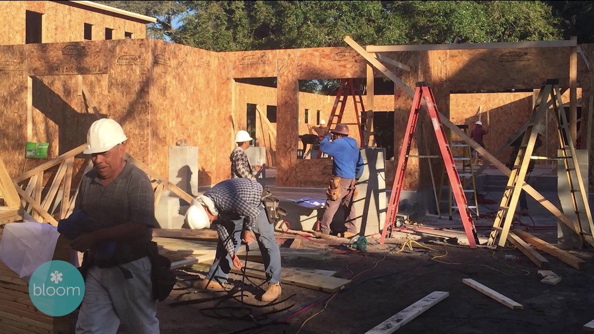 The Gramatica Family Foundation Featured on Bloom with Gayle Guyardo – WFLA