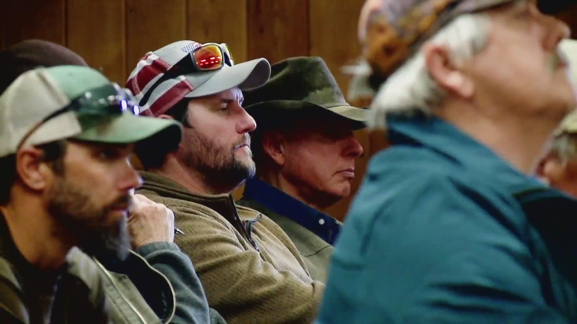 Colorado ranchers frustrated after wolf depredations – FOX31 Denver