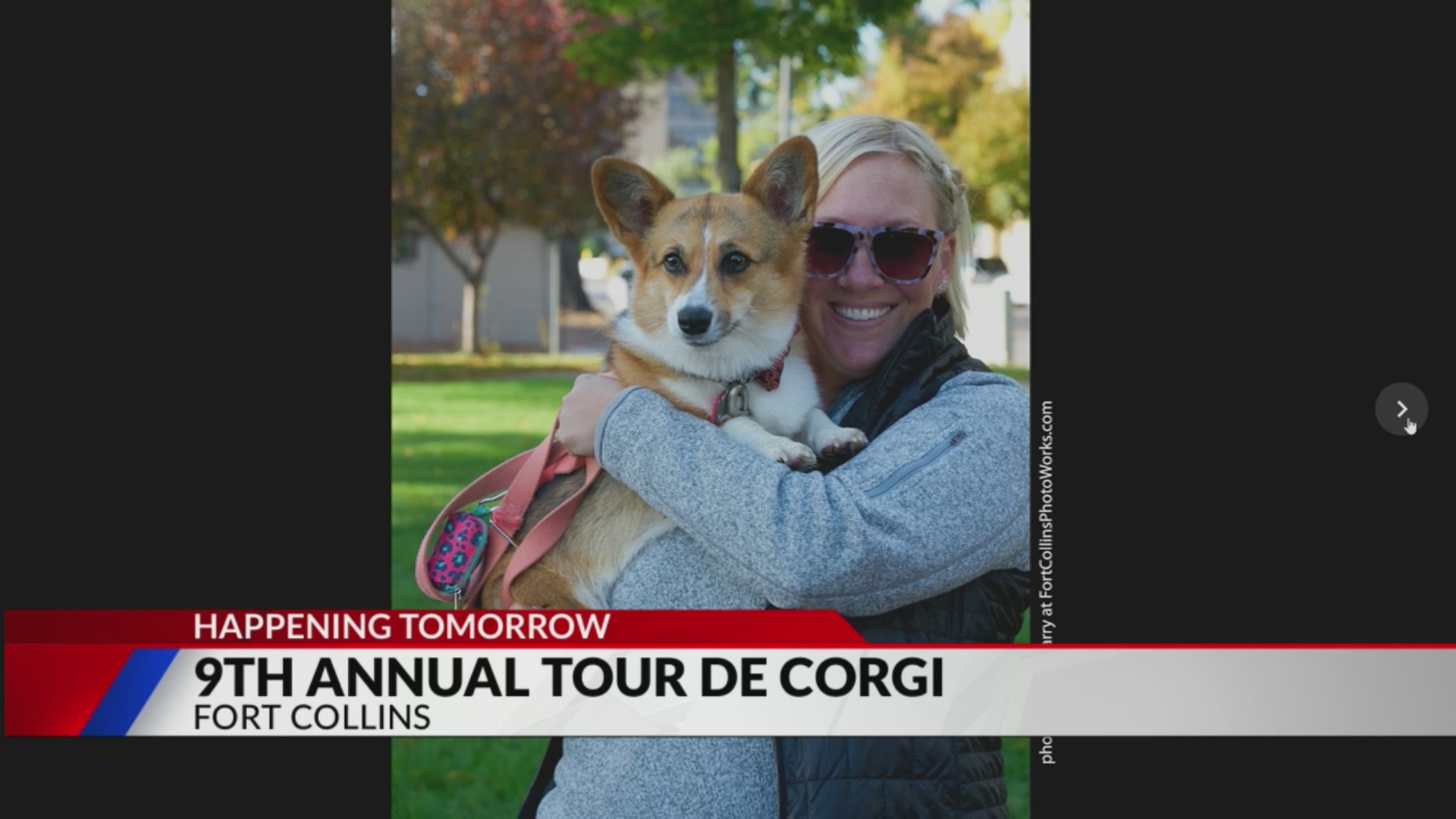 9th annual Tour de Corgi this weekend – FOX31 Denver