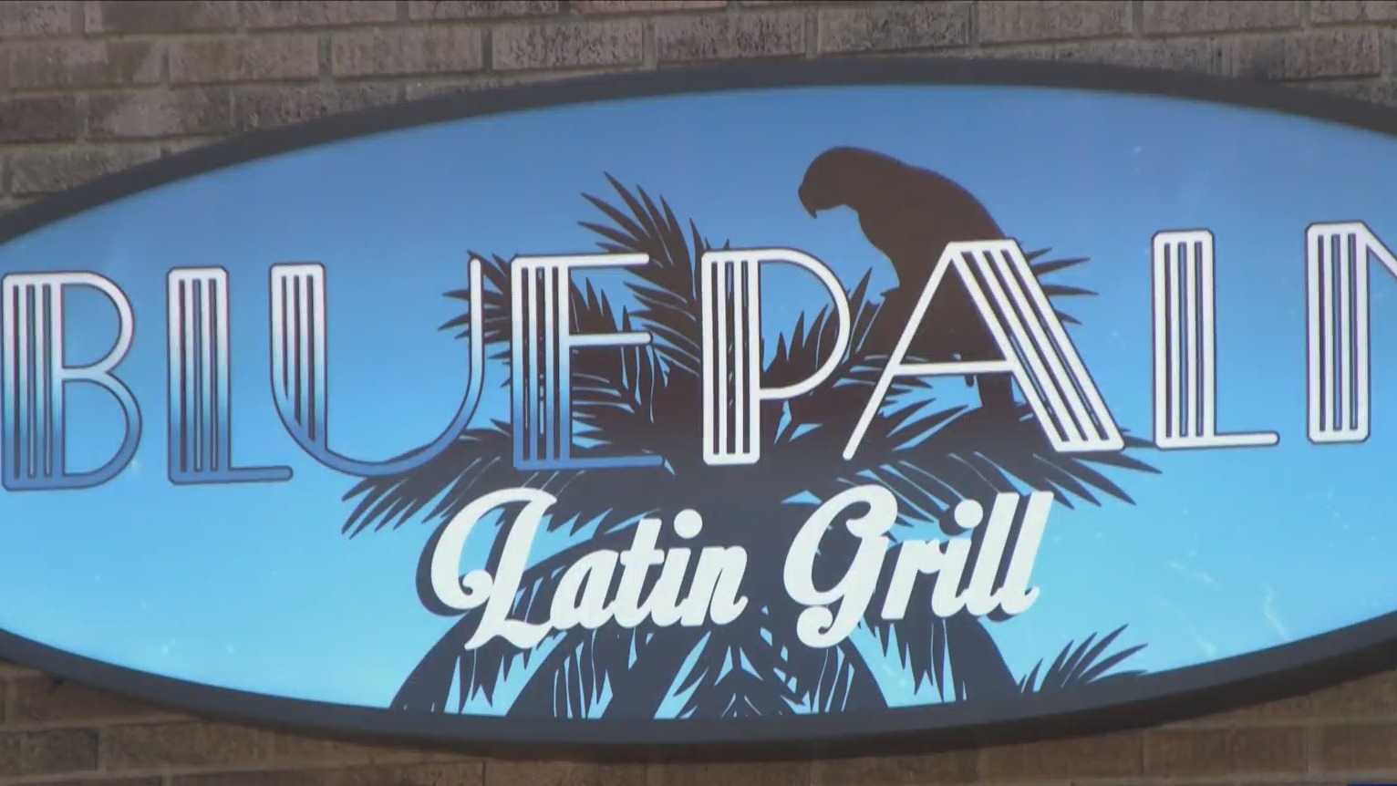 Blue Palm Grill Rochester Ny