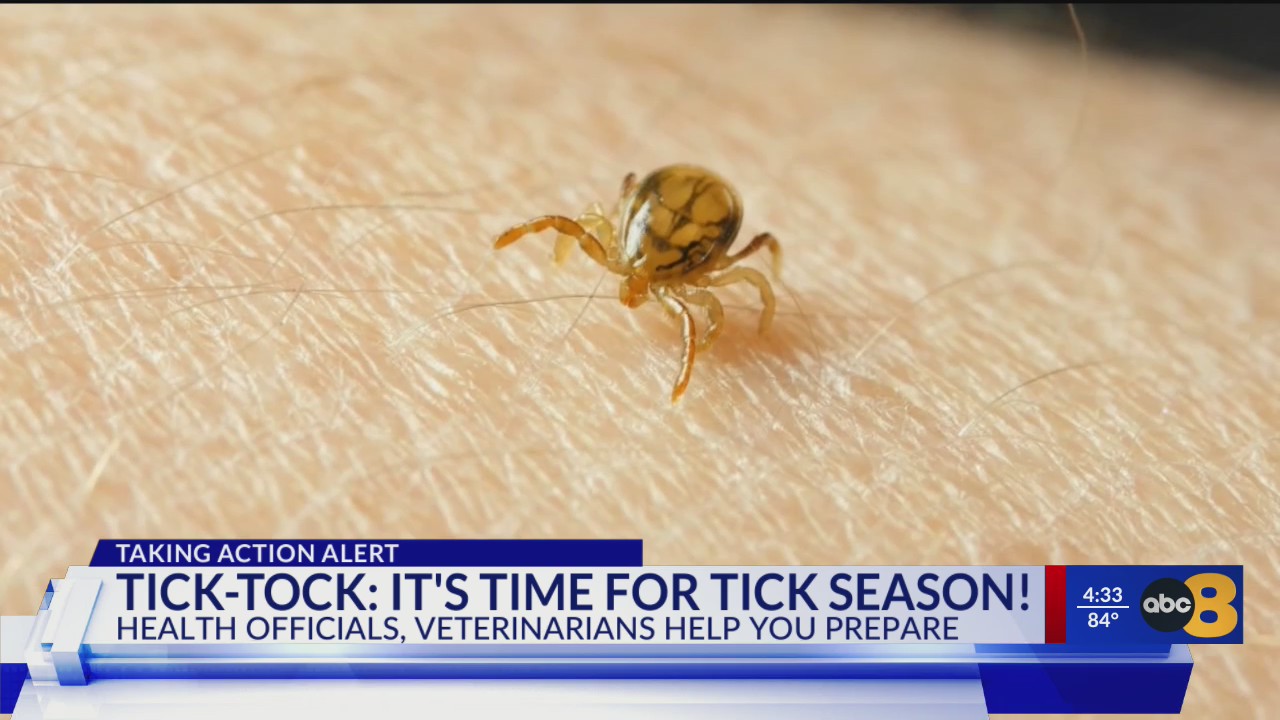 Tick-Tock: It’s time for tick season! – WRIC ABC 8News