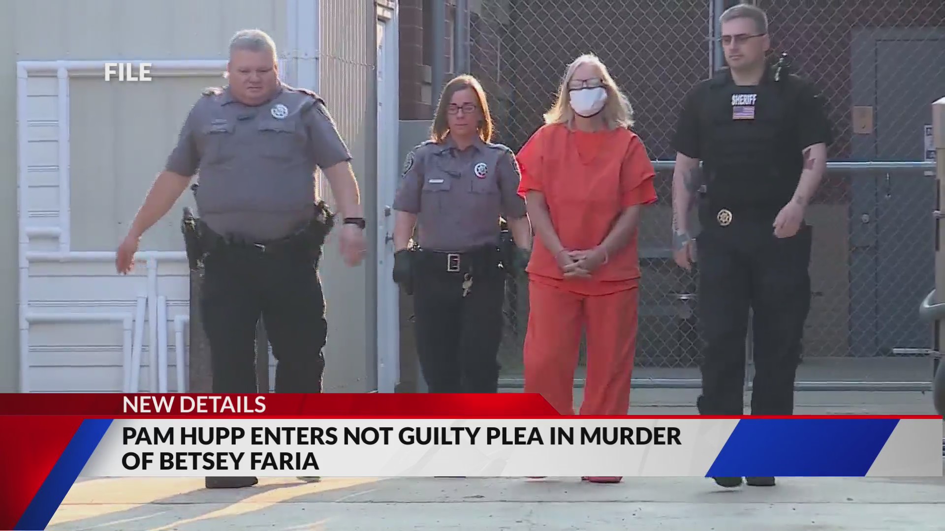 Pam Hupp enters not guilty plea in murder of Betsy Faria – FOX 2