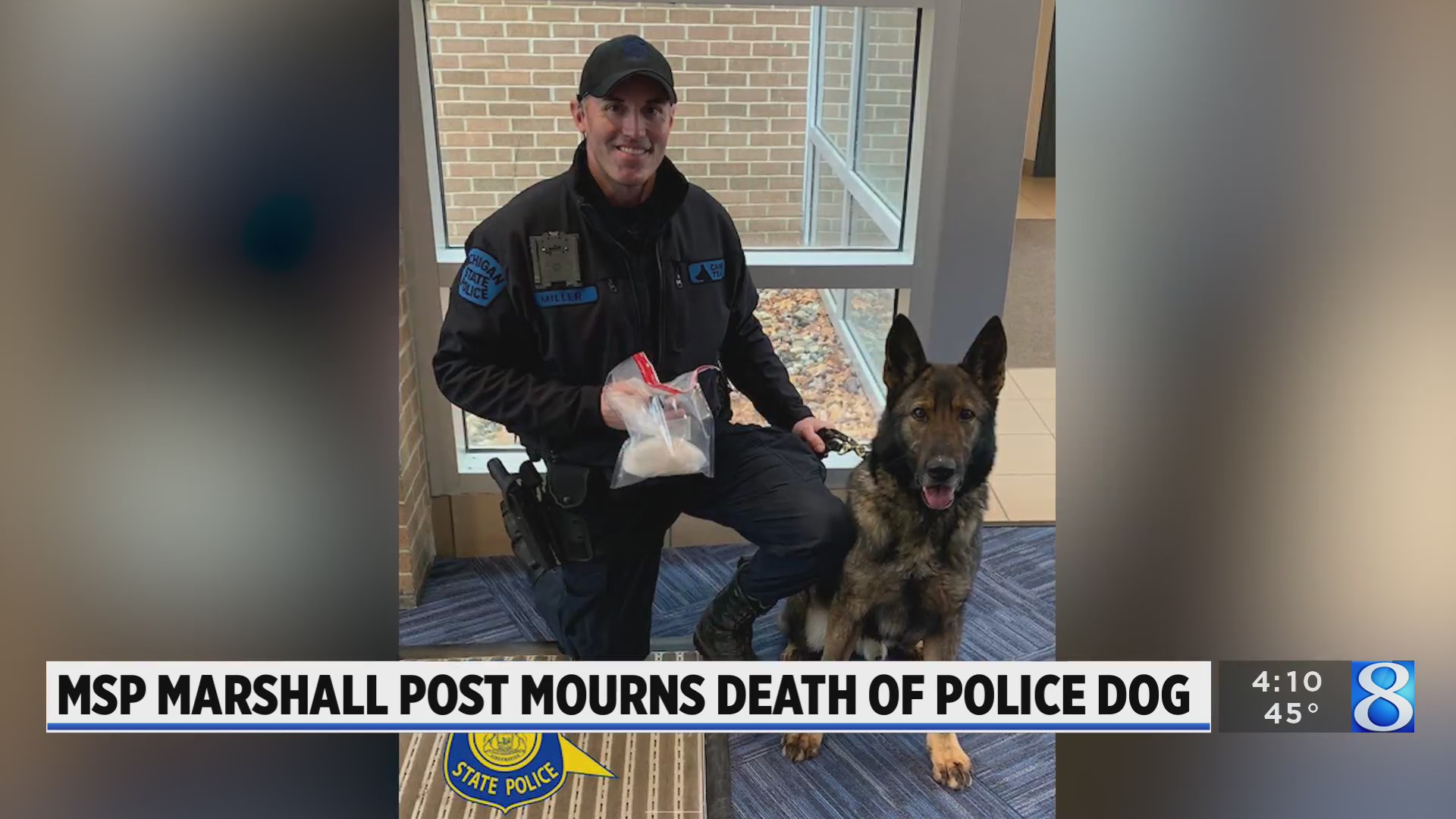 MSP Marshall Post mourns death of police dog – WOODTV.com