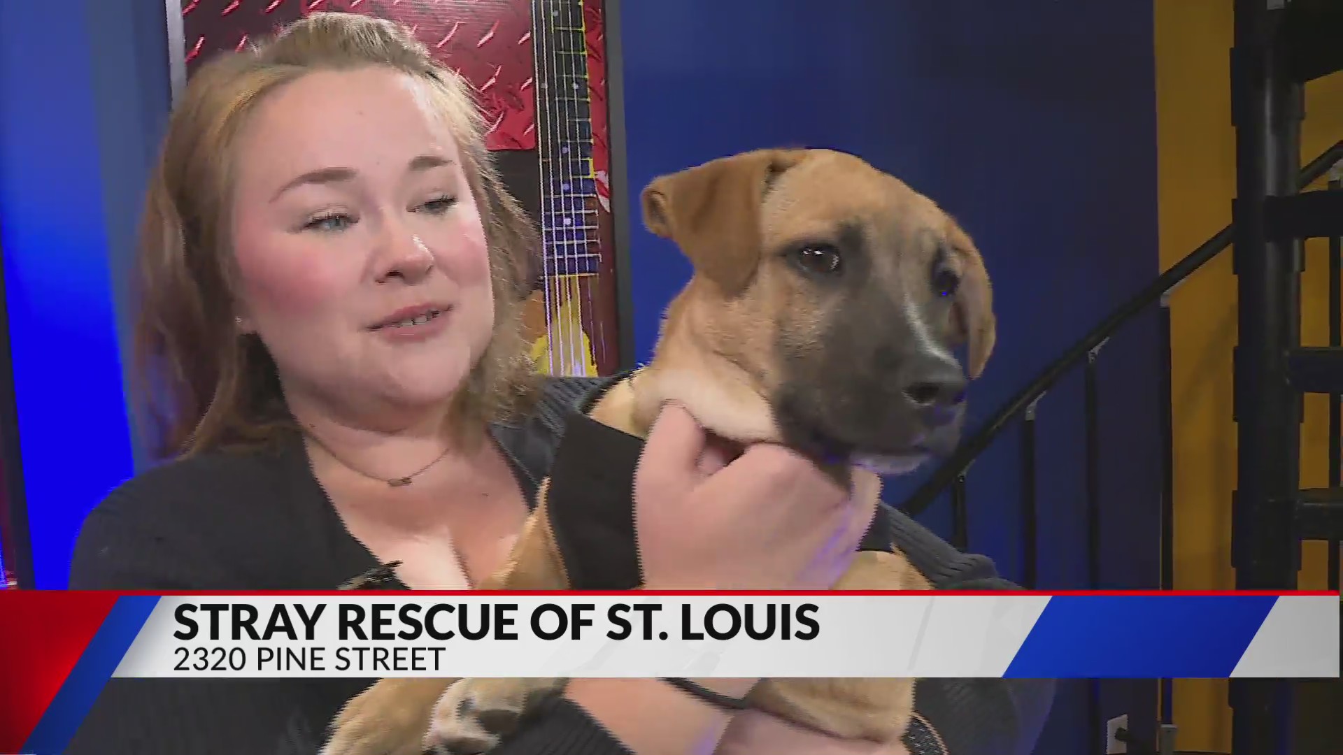 Pet of The Week: Mary – FOX 2