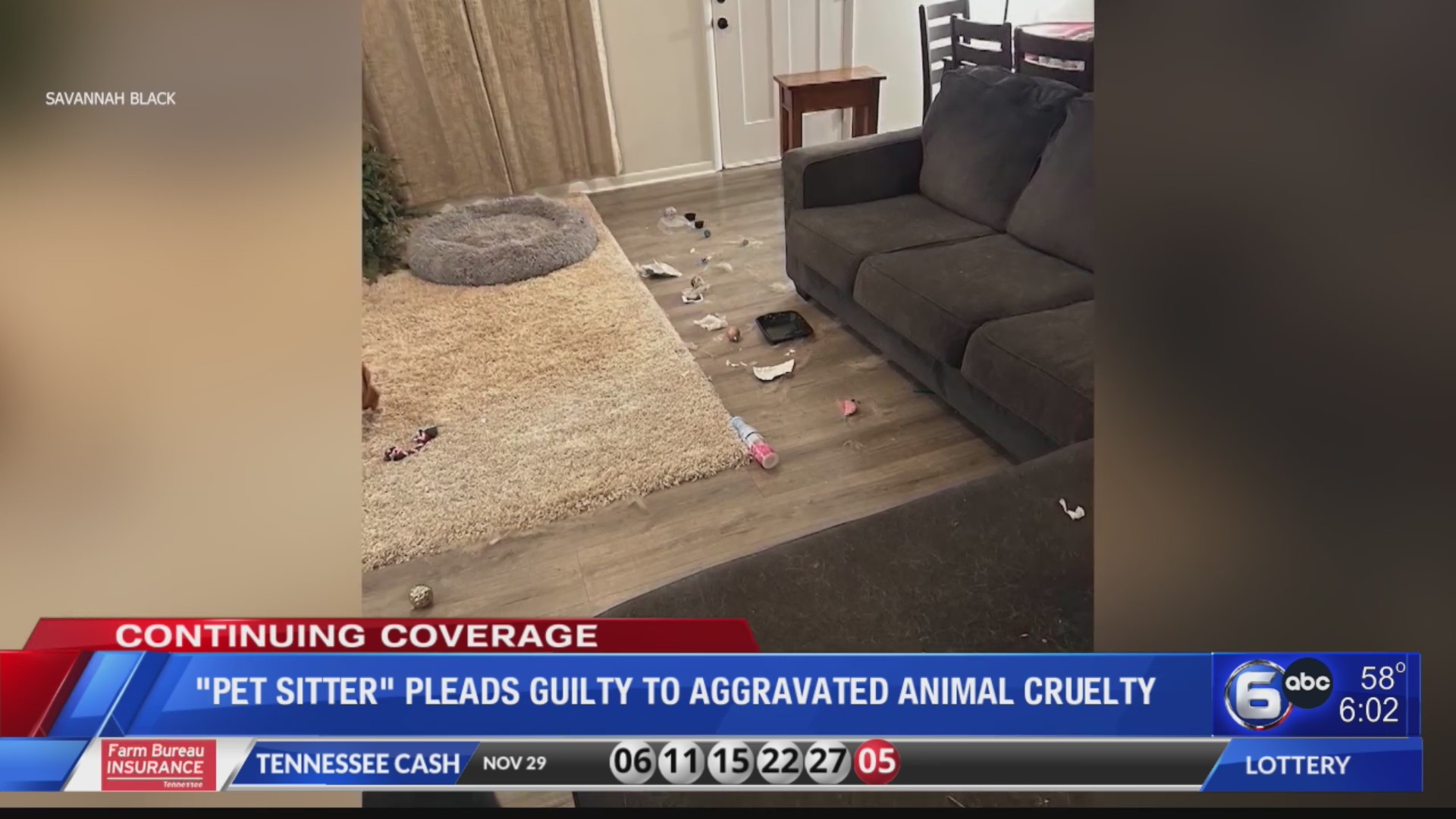 ‘Pet sitter’ pleads guilty to aggravated animal cruelty – WATE 6 On ...