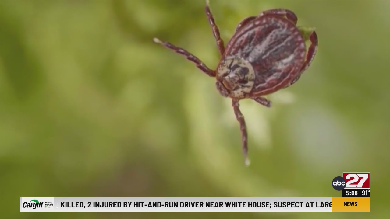 Tick numbers getting worse – ABC27