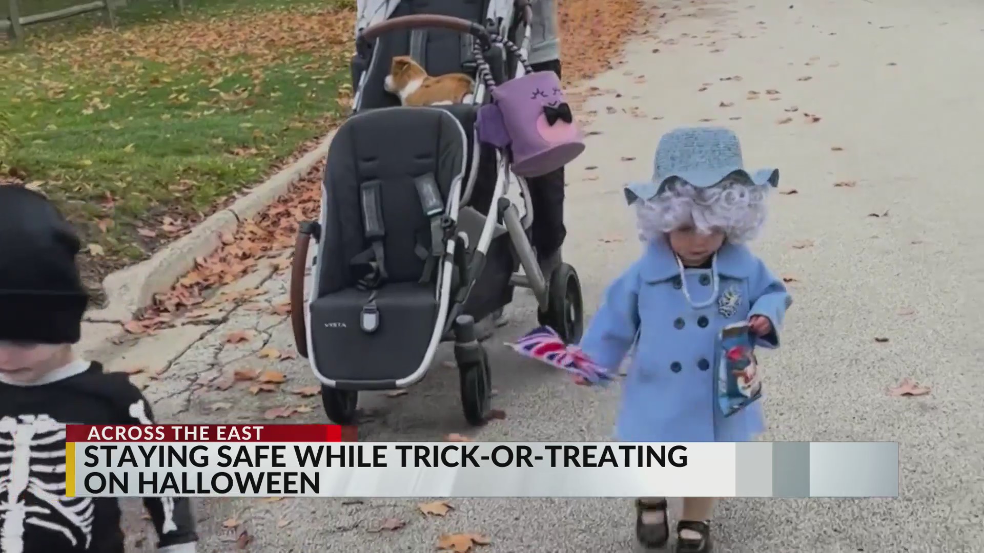 Halloween safety tips from health and law enforcement – WNCT