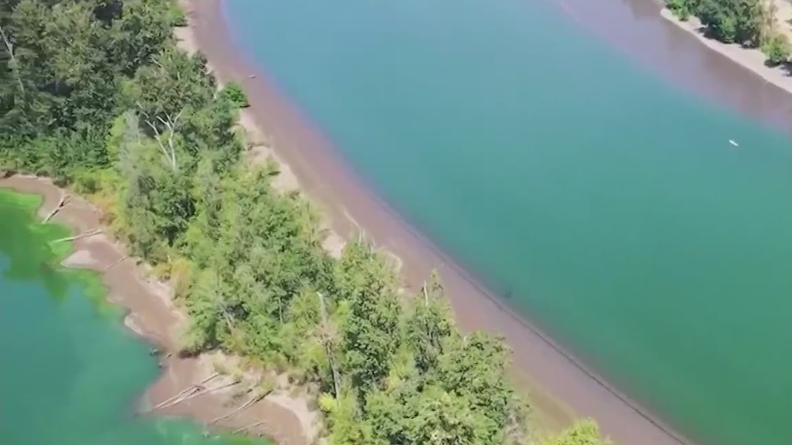 Toxic algae blooms ‘growing rapidly’ in Willamette River – KOIN.com