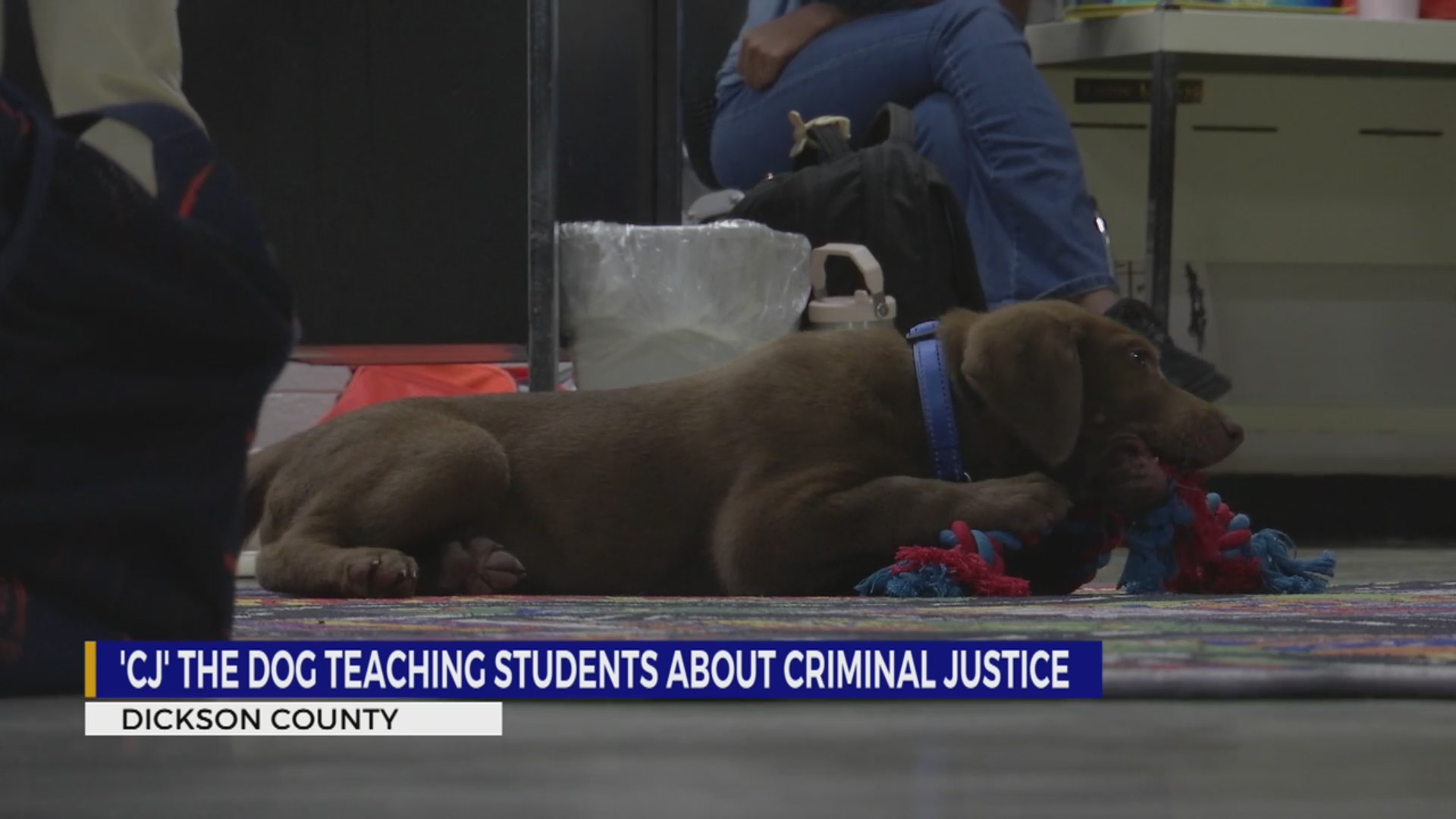 ‘CJ’ the dog teaching students about criminal justice – WKRN News 2