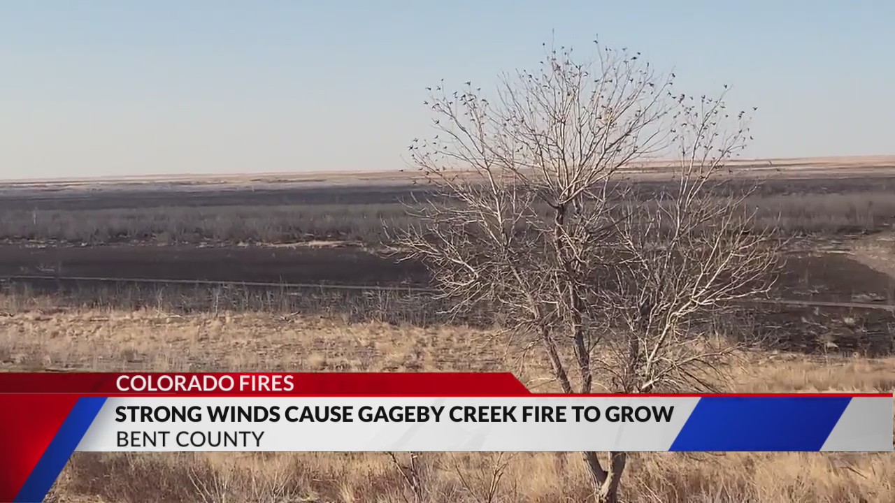 Gageby Creek Fire doubles in size Thursday – FOX21 News Colorado