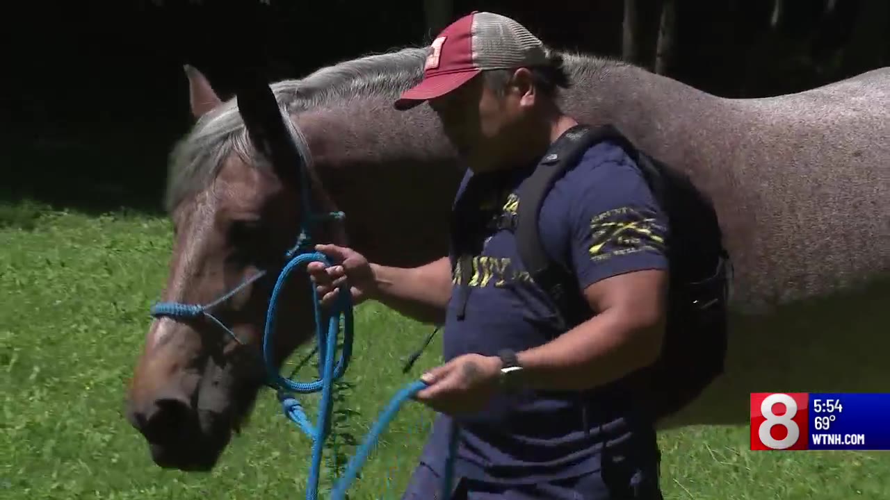 The Equus Effect provides therapeutic work with horses to veterans and first responders – WTNH.com
