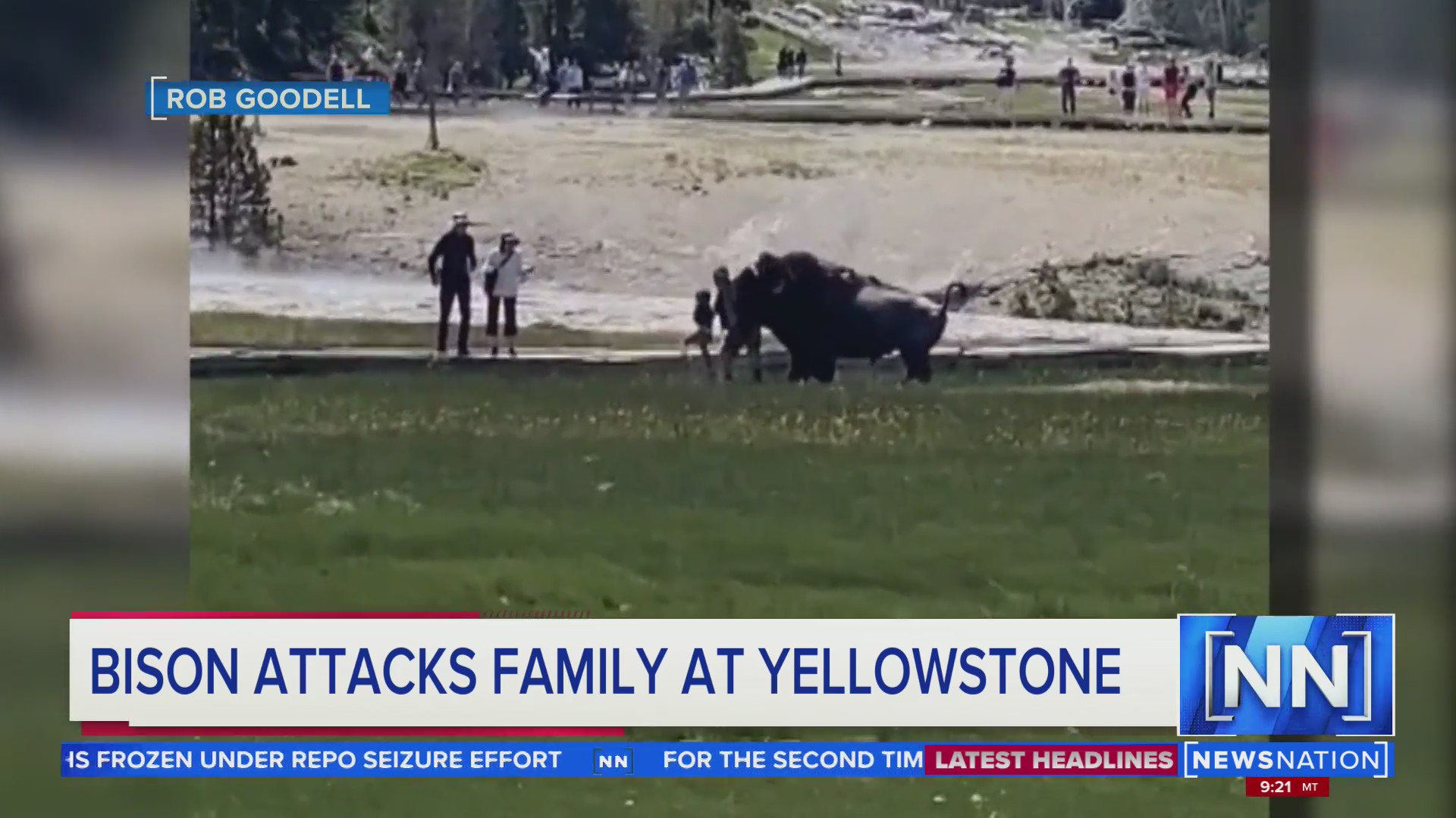 Bison attacks family at Yellowstone | NewsNation Prime – NewsNation
