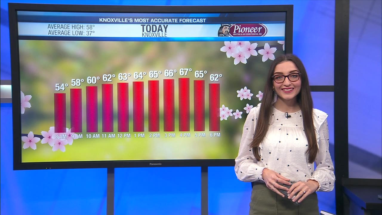 Mostly sunny and mild today – WATE 6 On Your Side