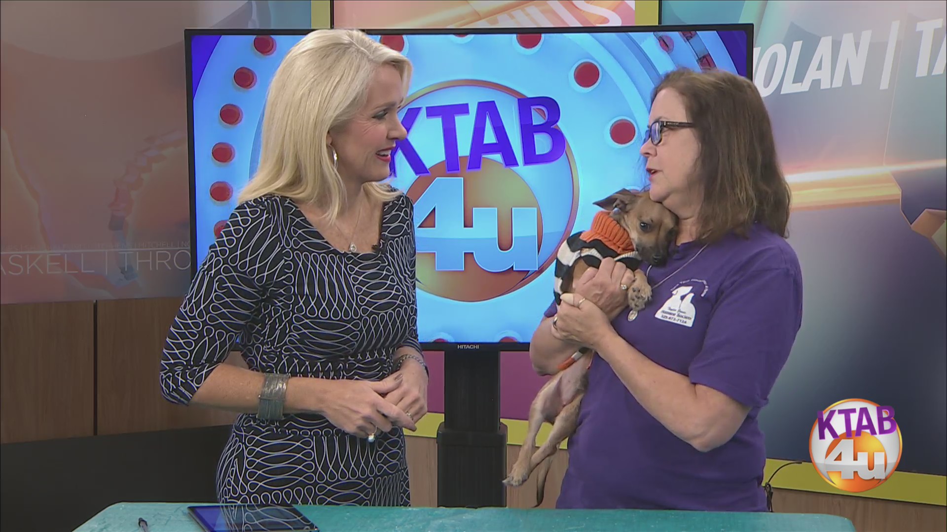 Jethro needs a home – KTAB – BigCountryHomepage.com