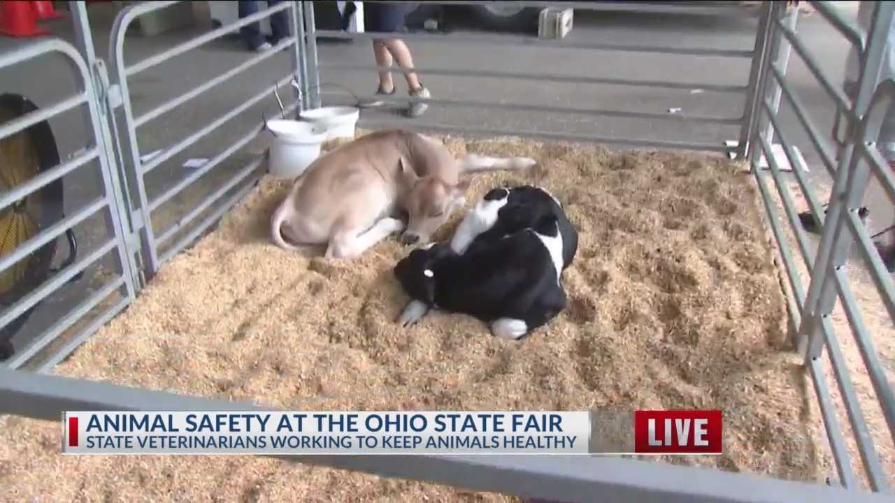 Keeping animals healthy, creating compost behind the scenes at the Ohio ...