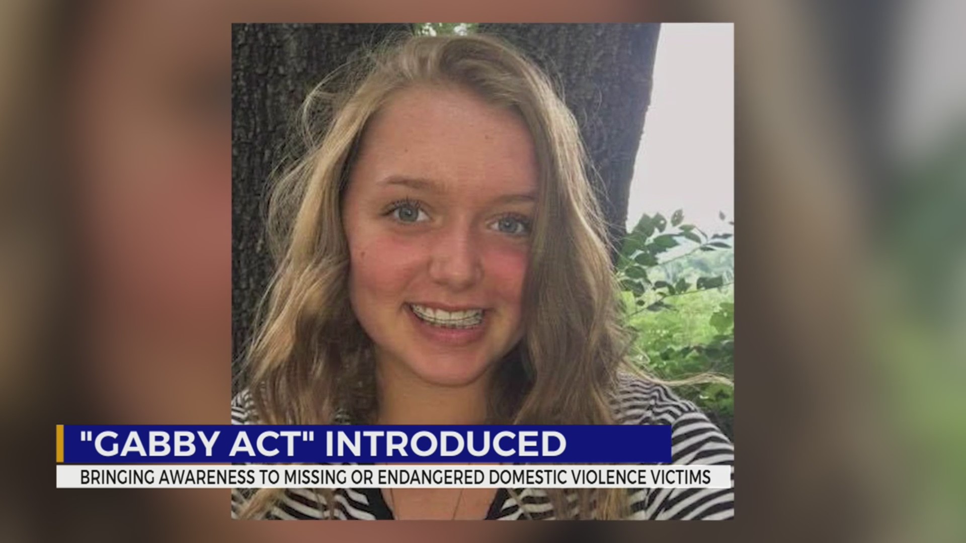 ‘Gabby Act’ introduced in TN – WKRN News 2