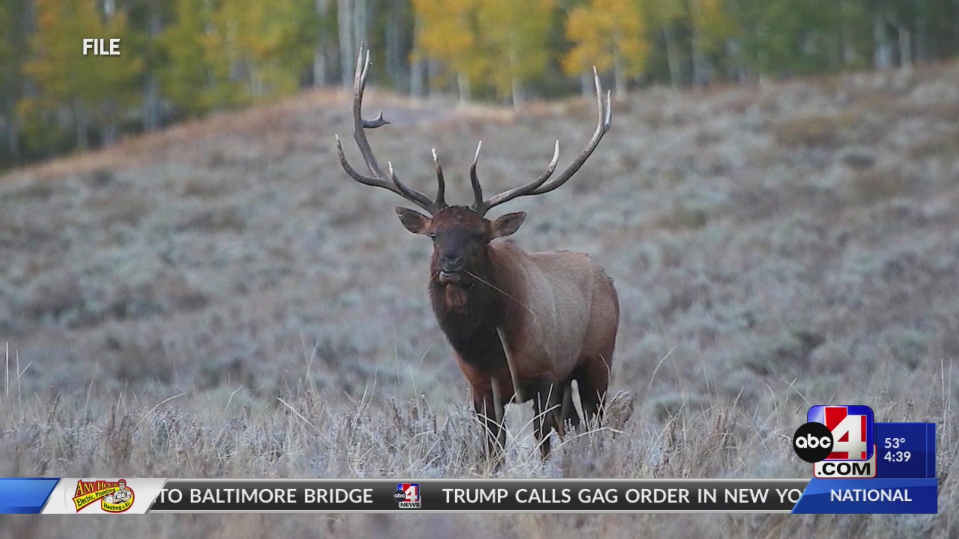 Utah’s wildlife and conservation efforts get a big boost – ABC4 Utah