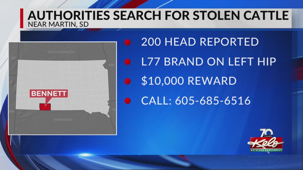 Authorities search for stolen cattle – KELOLAND.com