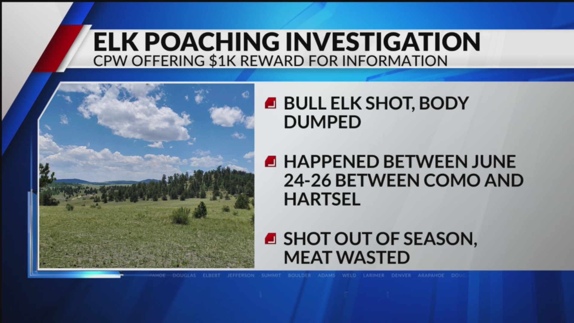 $1,000 reward for info about dumped bull elk: CPW – FOX31 Denver