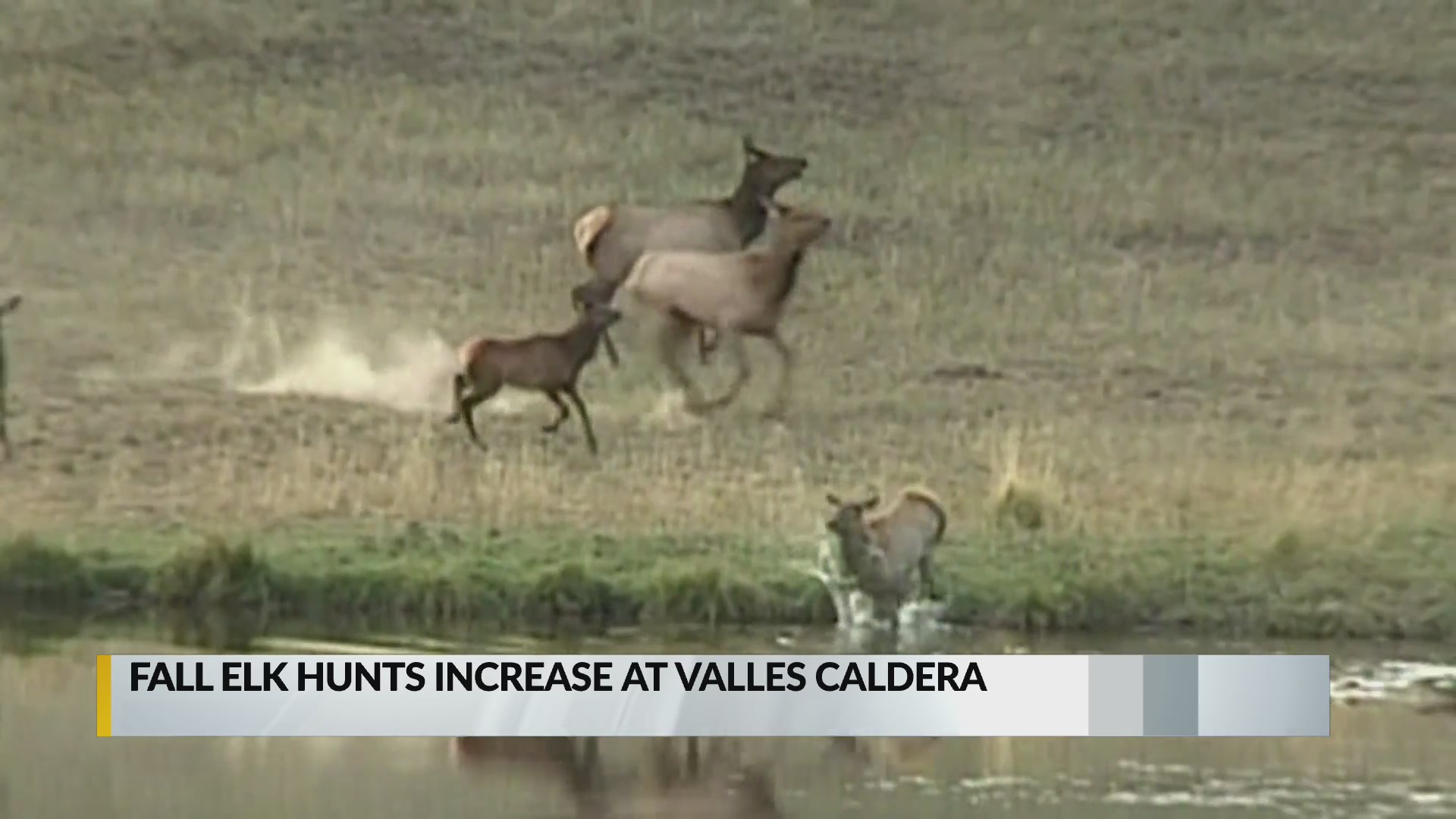 Fall elk hunts to increase at Valles Caldera National Preserve – KRQE ...