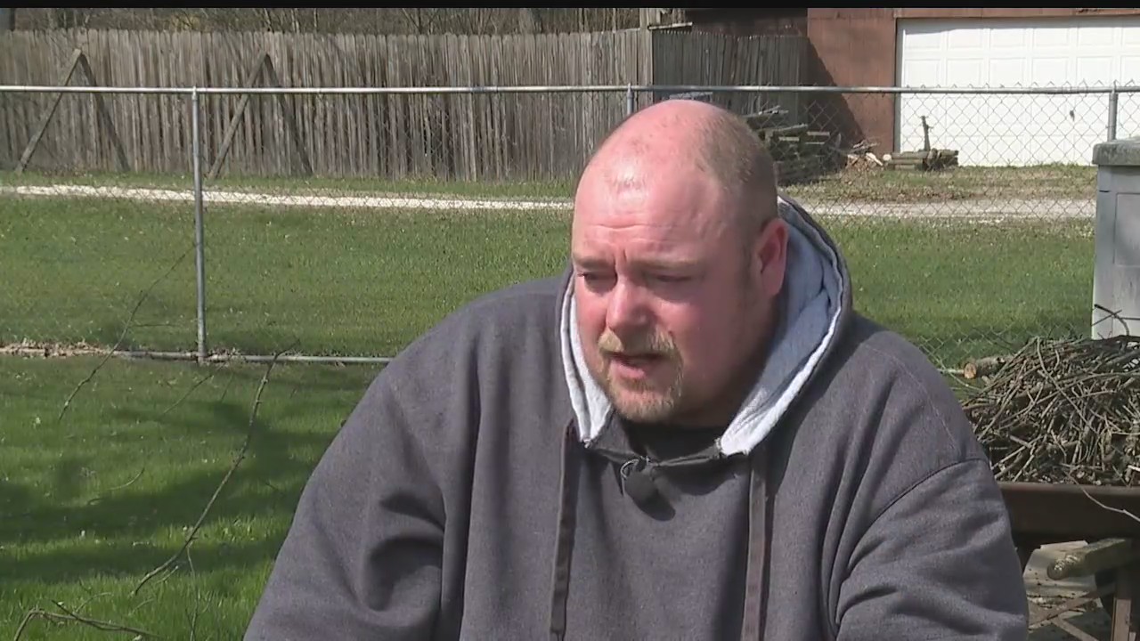 Dogs deemed ‘dangerous’ following Yorkie attack in Champion – WKBN.com