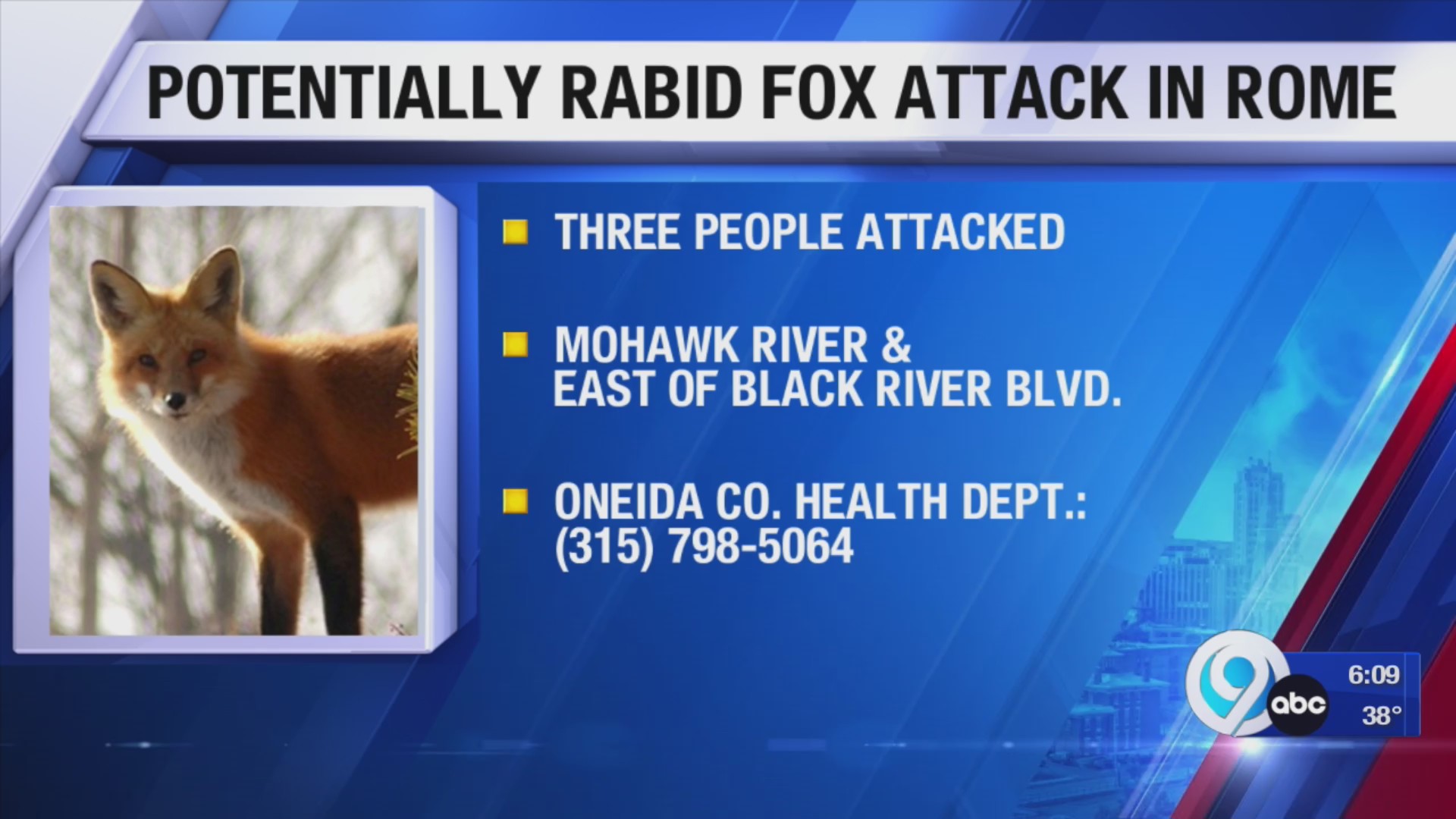 Potentially rabid fox attacks three people in Rome – WSYR