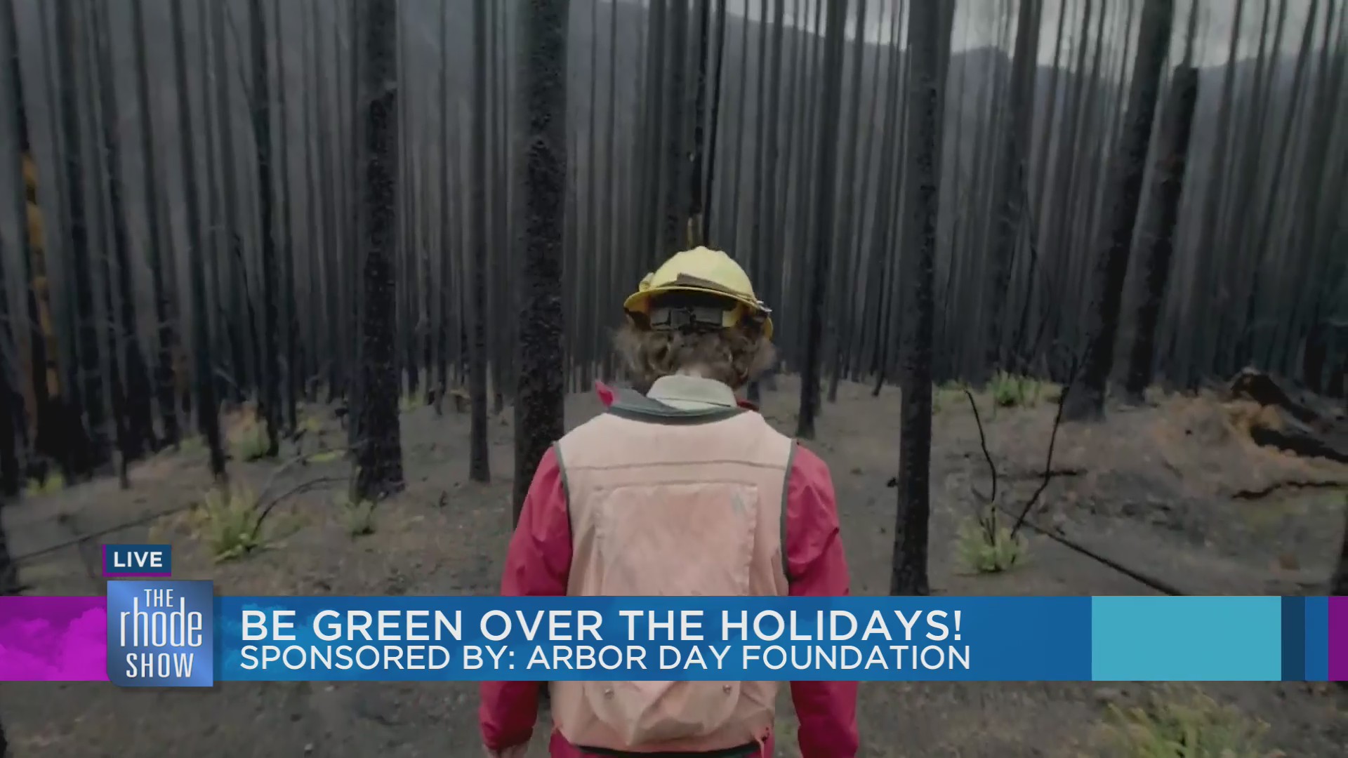 Dan Lambe shares about the Arbor Day Foundation – WPRI.com