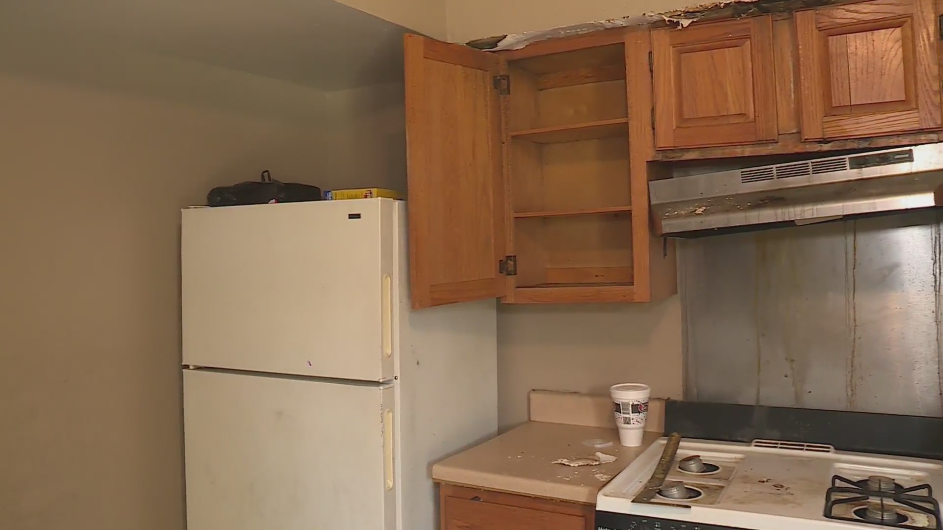 Apartment of horrors: Tenant dealing with unsafe conditions, insect ...