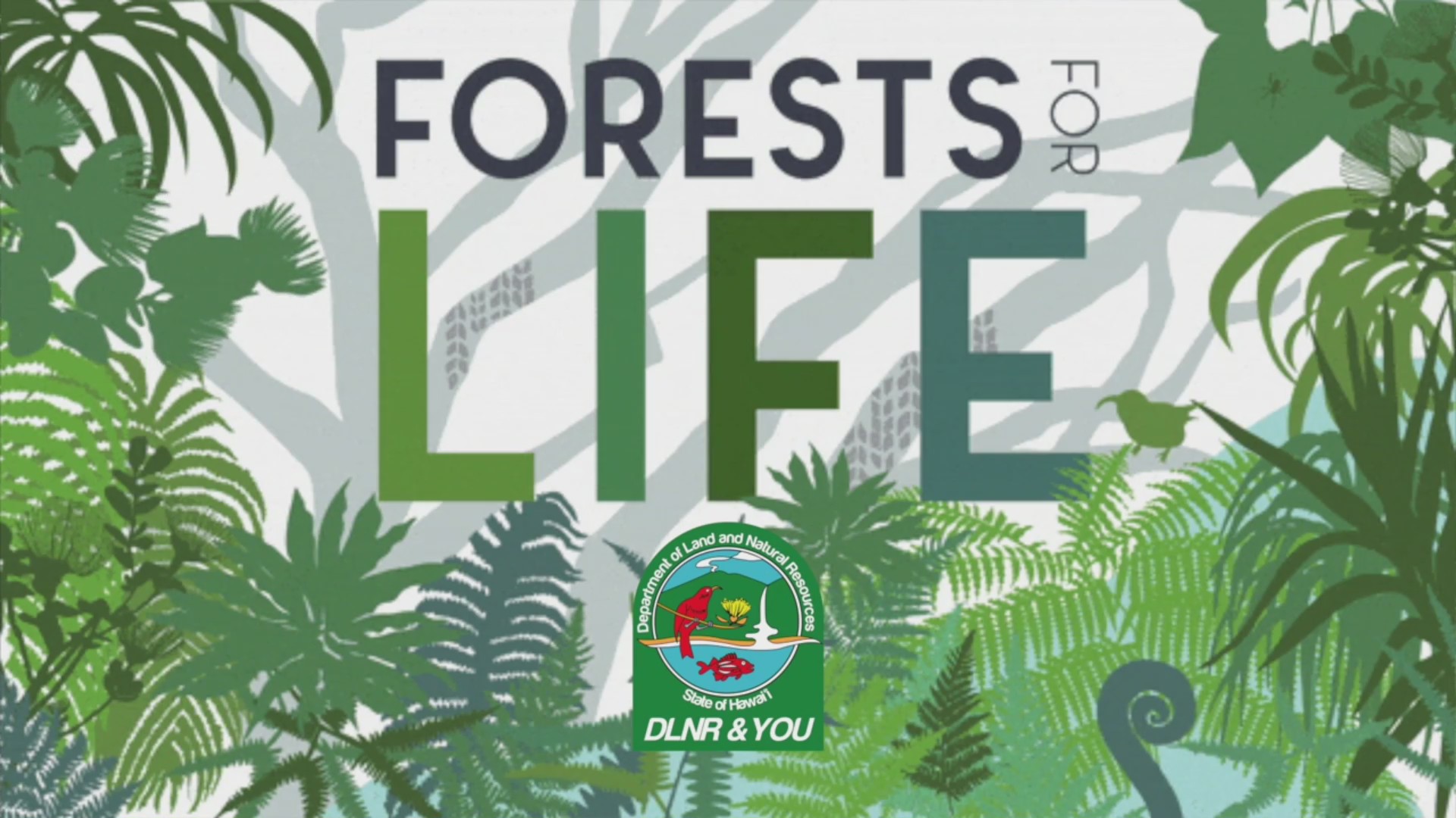 Forests for Life: Trillion Trees Initiative – KHON2