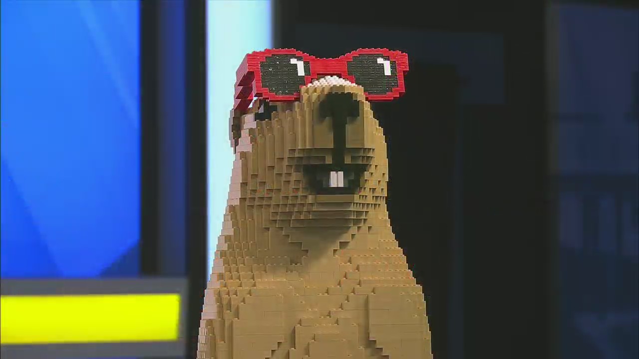 Live at 9: Building LEGOs on Groundhog Day – NEWS10 ABC