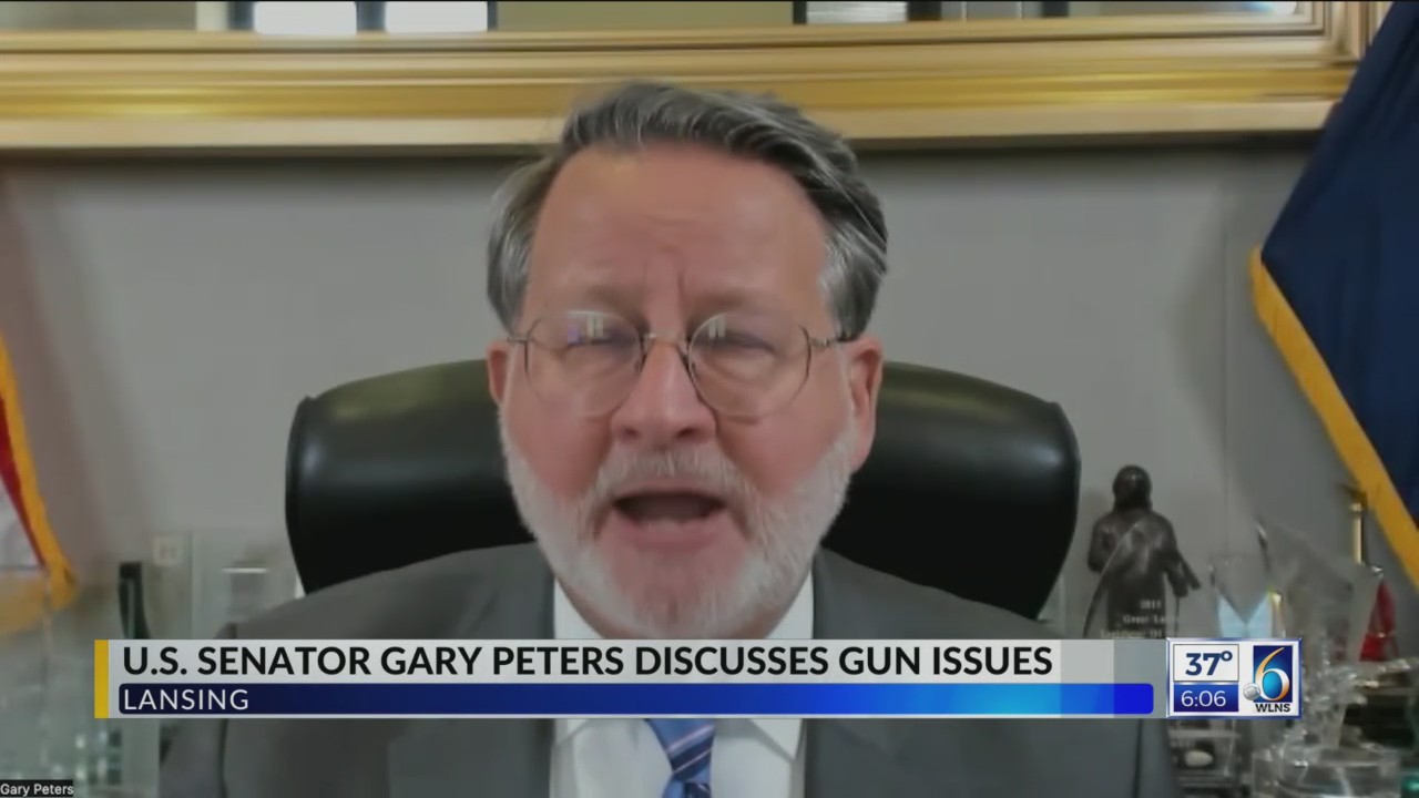 U.S. Senator Gary Peters Discusses Gun Issues – WLNS 6 News