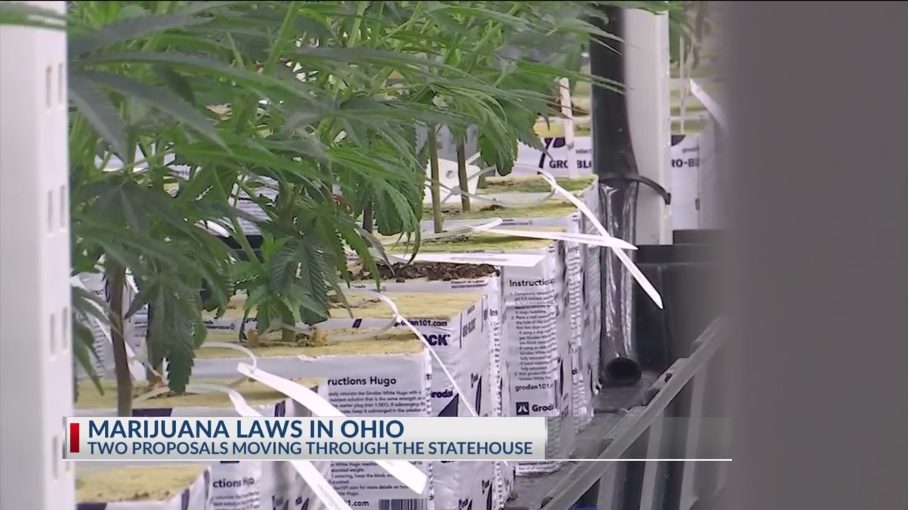 Marijuana laws in Ohio: Two proposals moving through the Statehouse ...