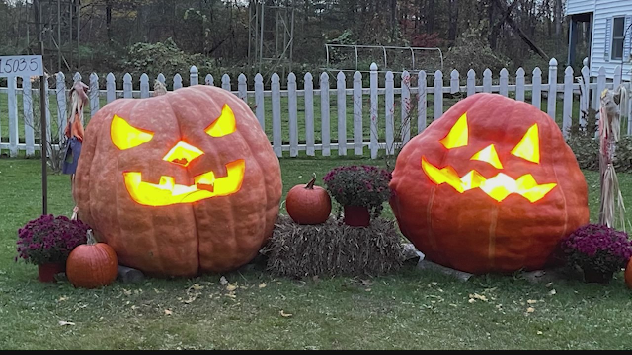 Giant jack-o’-lanterns turning heads in Jericho – NEWS10 ABC