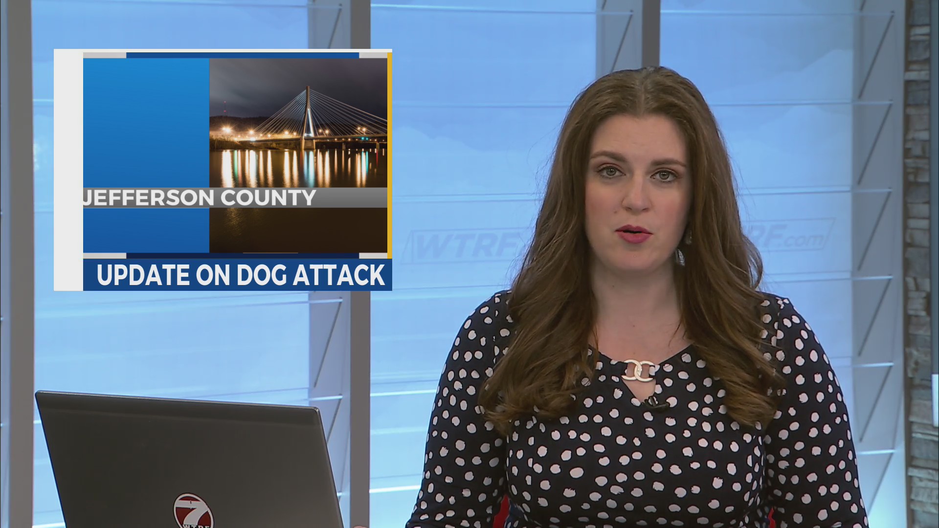Dog warden investigating attack by two pit bulls in Jefferson County – WTRF