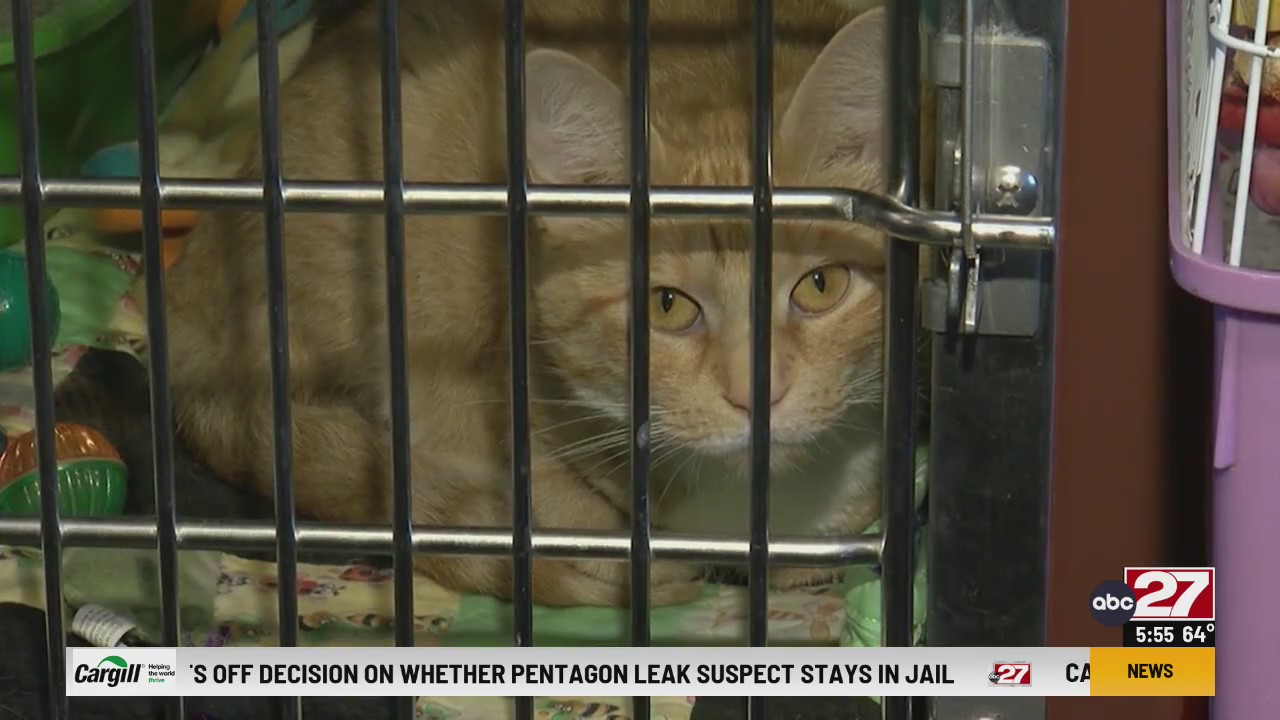 York County SPCA to hold open house – ABC27