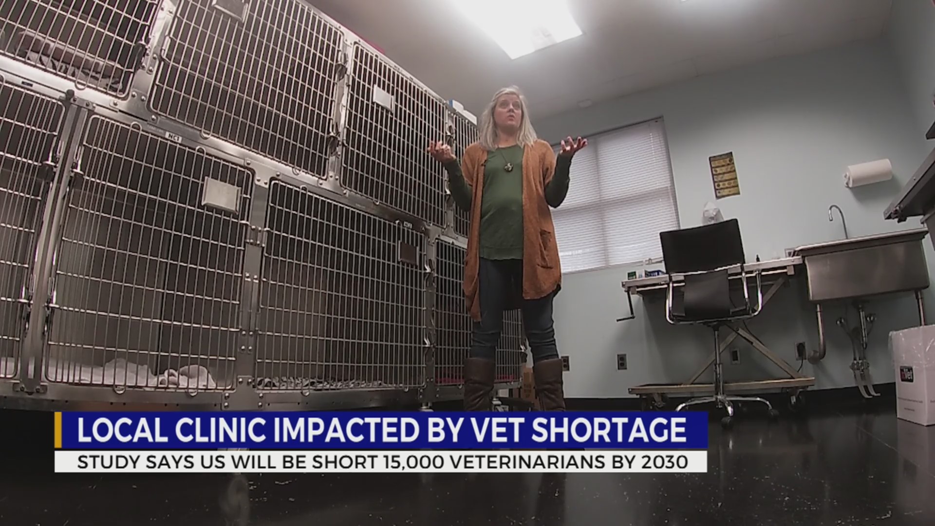 Veterinarian shortage impacting Beesley Animal Clinic – WKRN News 2