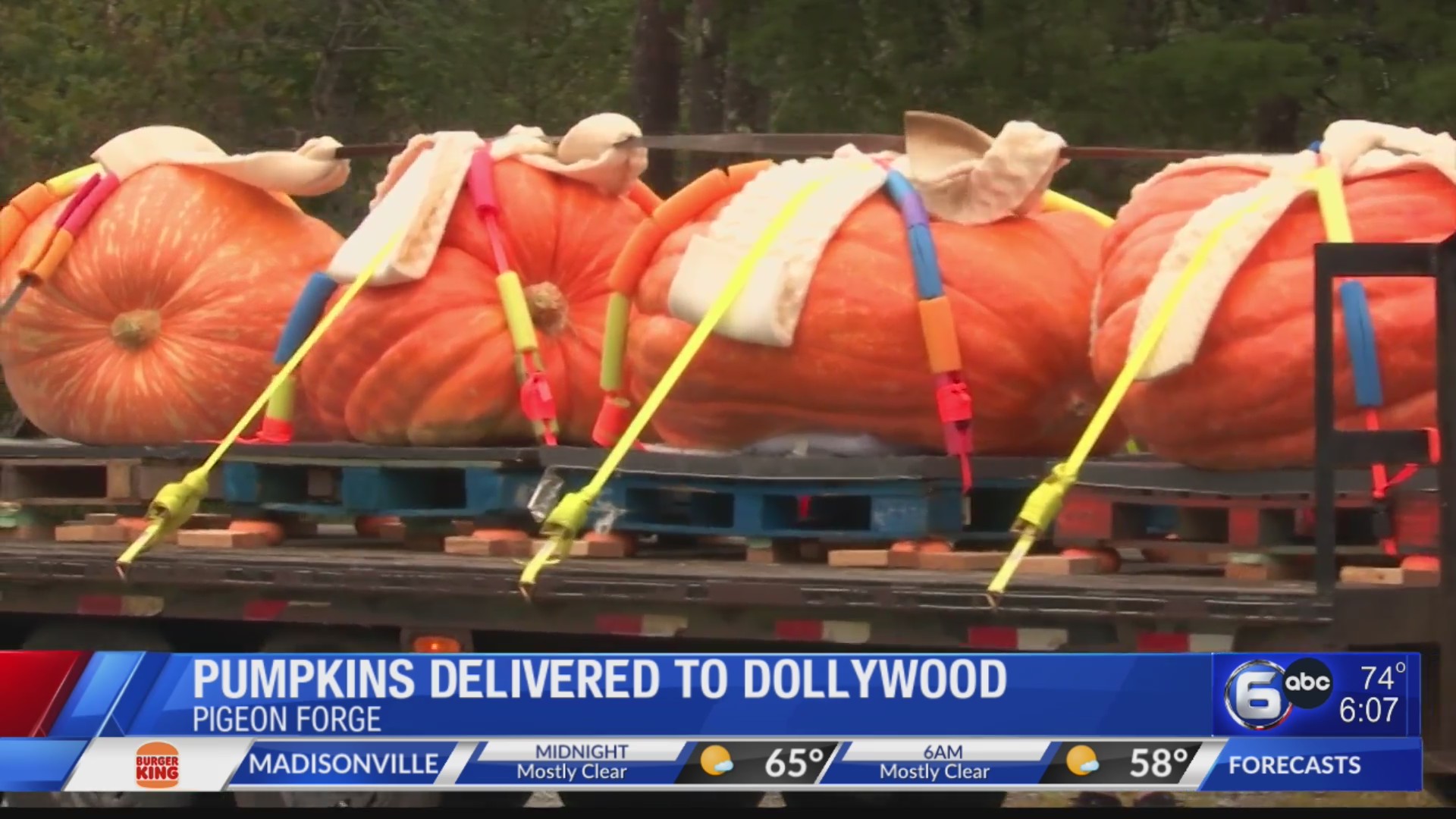 Pumpkins Delivered to Dollywood – WATE 6 On Your Side