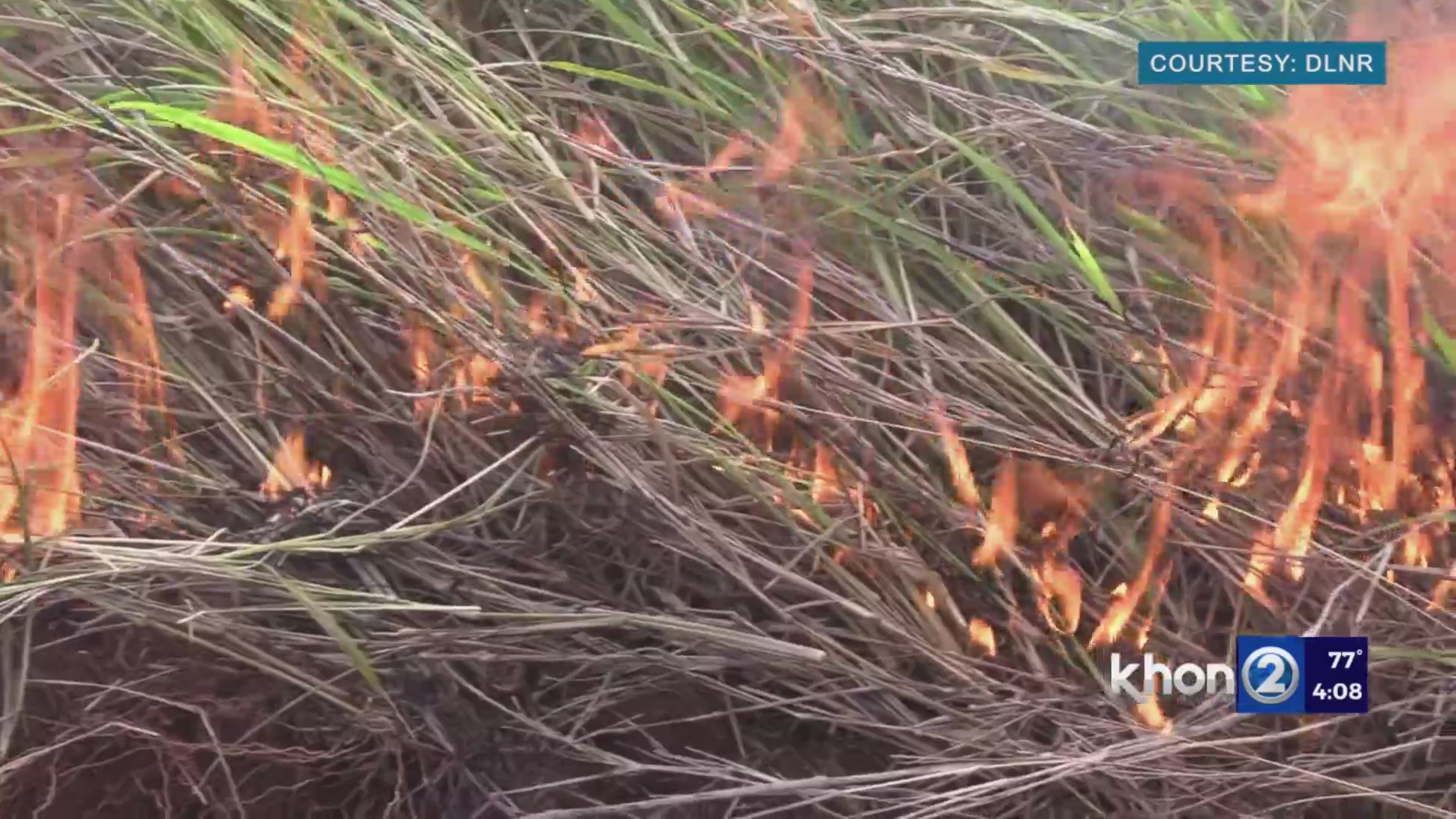 Hawaii firefighters complete “ignition training” to combat wildland ...