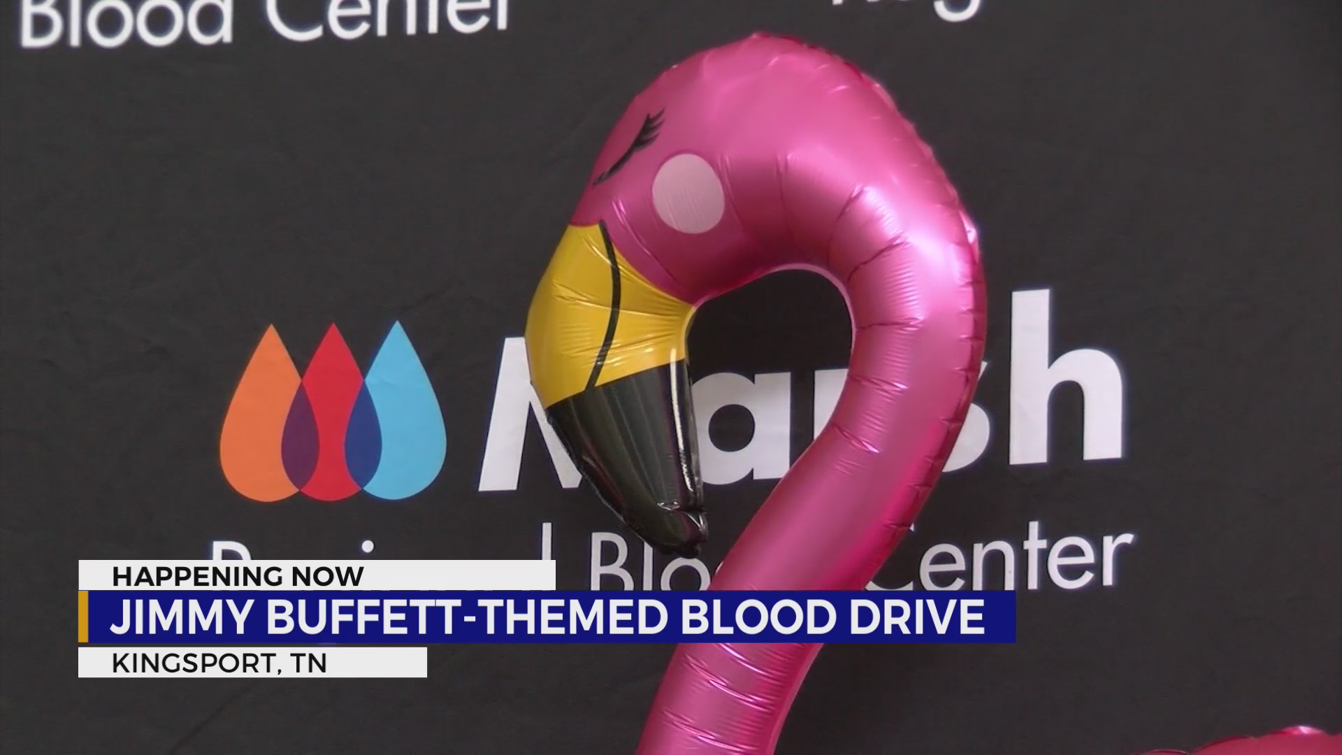 Marsh Regional hosts Jimmy Buffett-themed blood drive in Kingsport ...