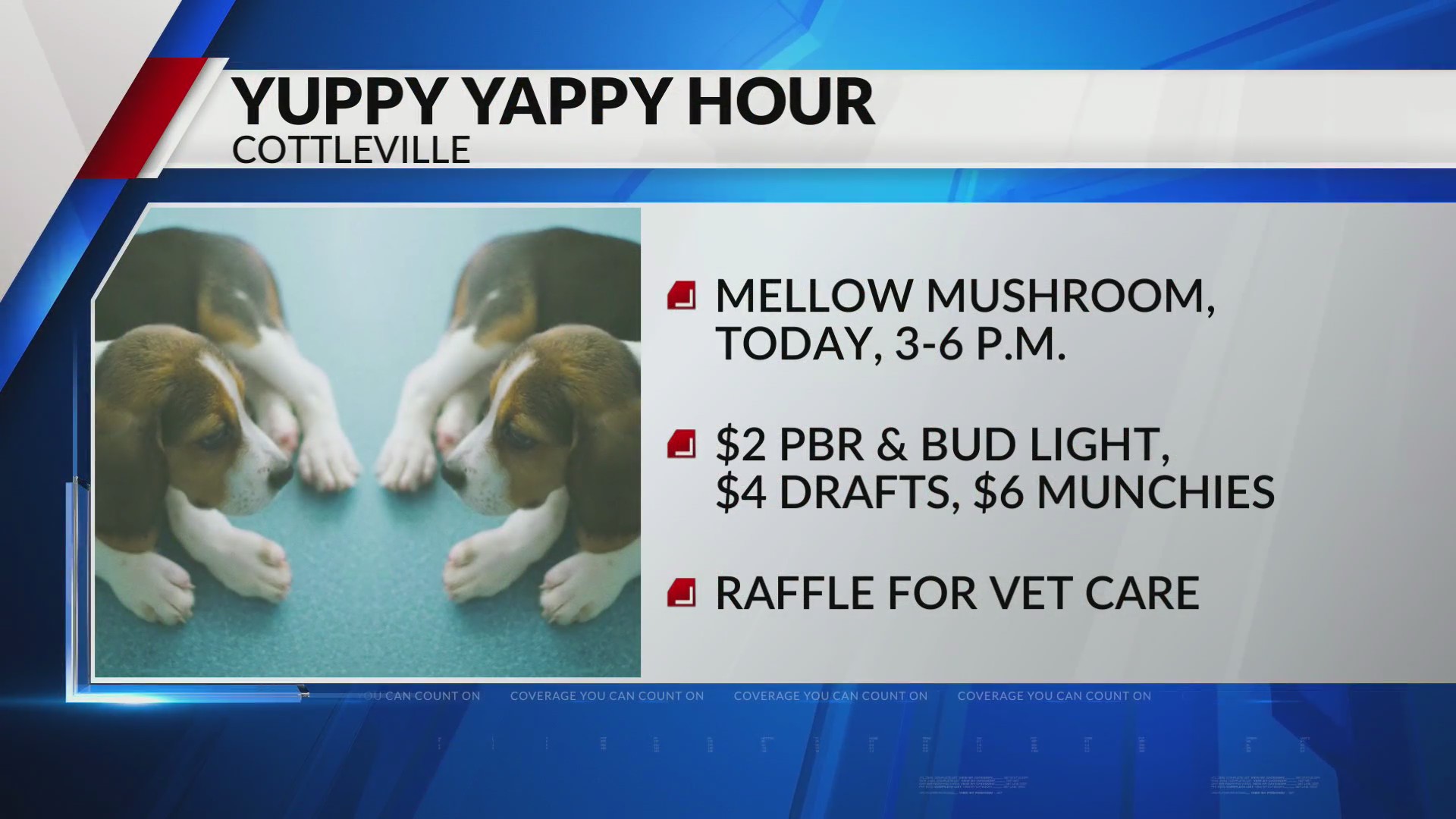 Mellow Mushroom in Cottleville, Missouri hosting ‘Yappy Yuppy Hour ...
