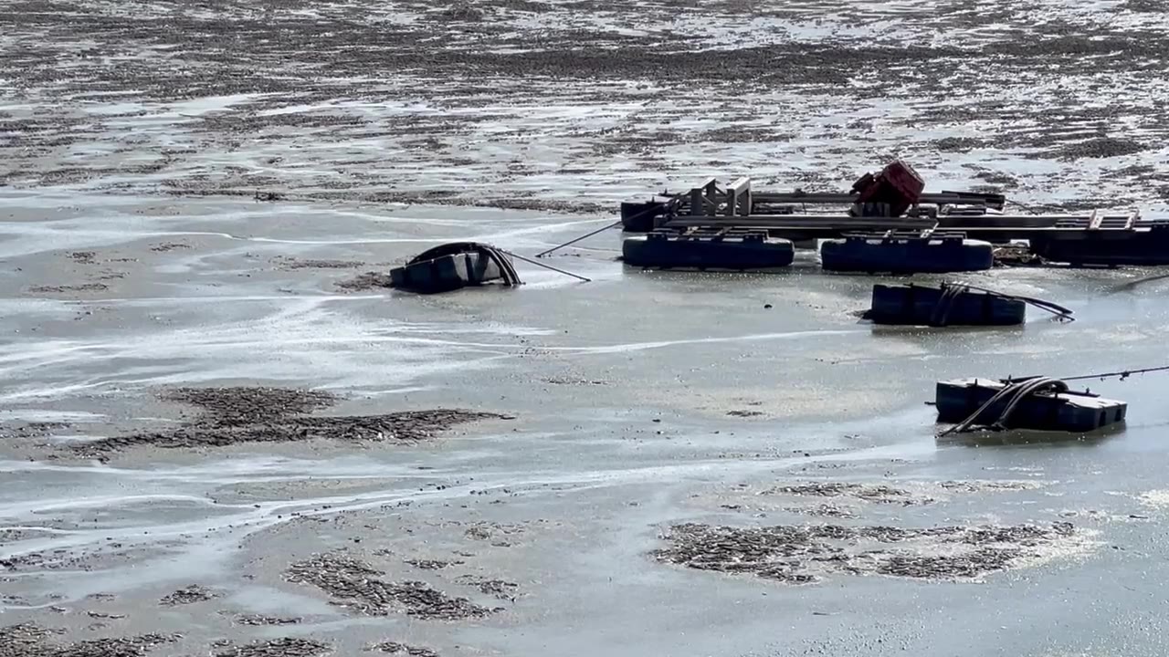 Punta Bandera Make over – BorderReport