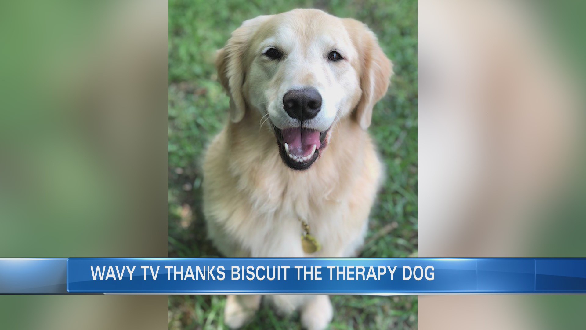 WAVY-TV thanks Biscuit the therapy dog – WAVY.com