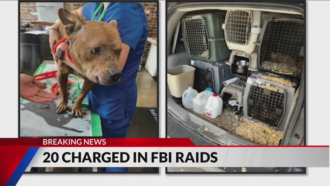 20 charged in FBI raids targeting drugs, dogfighting in Indy – Fox 59