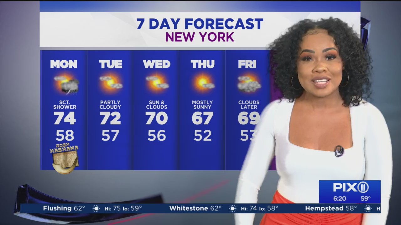 NY, NJ weather forecast: Cloudy with a chance of a stray shower – PIX11