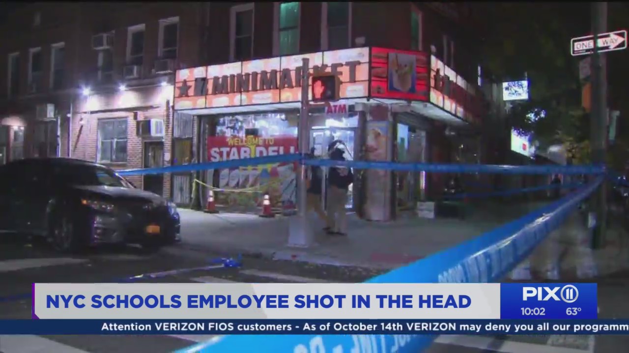 DOE employee, 19, shot in the head in Brooklyn, police say – PIX11
