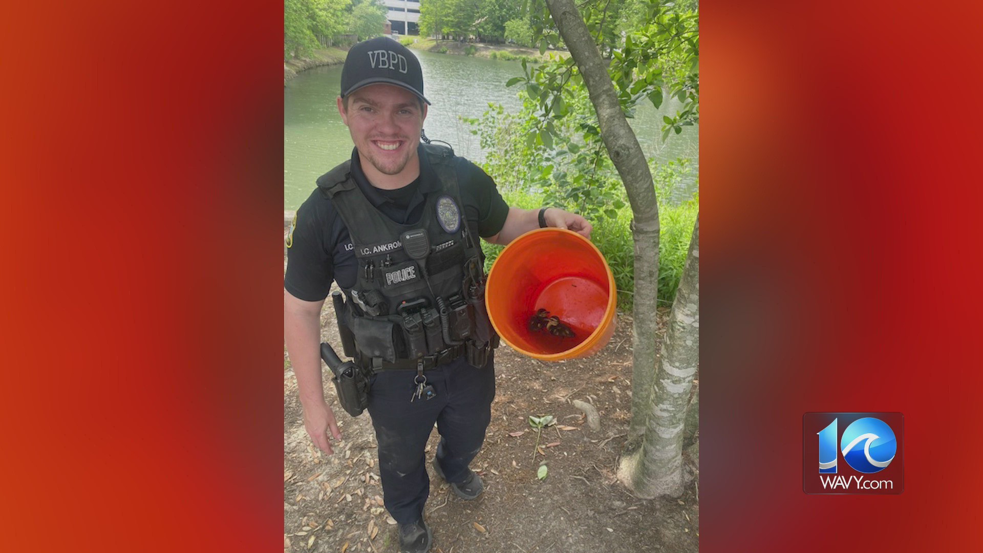VBPD officer rescues ducks from storm drain – WAVY.com