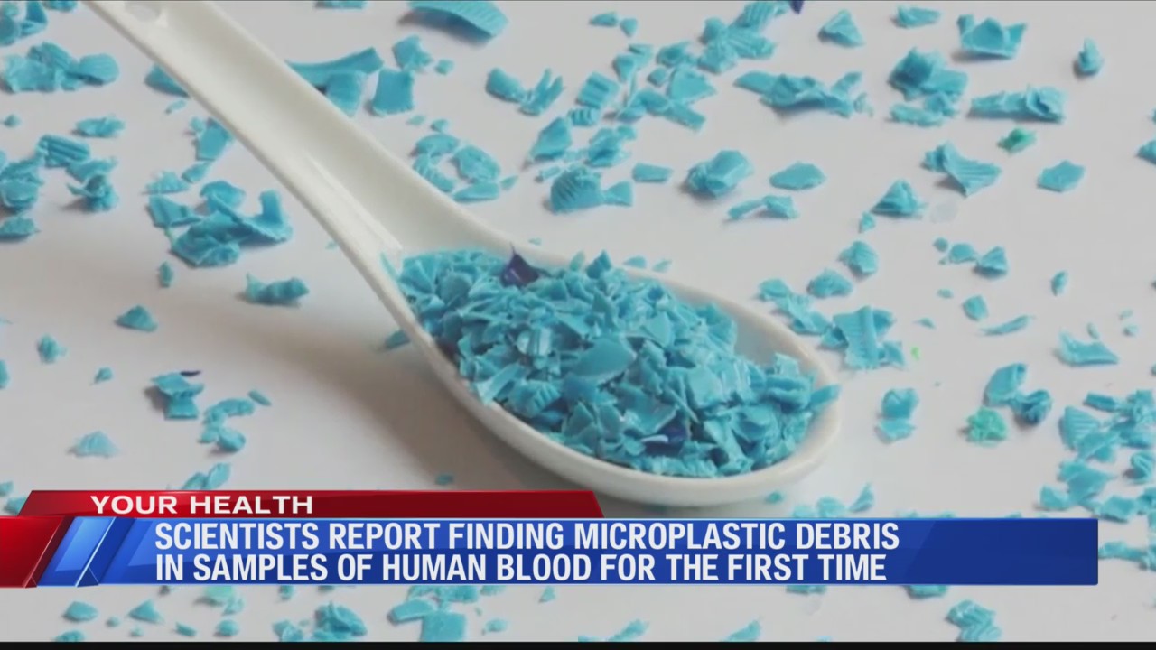 Scientists reporting finding microplastic debris in human blood samples ...